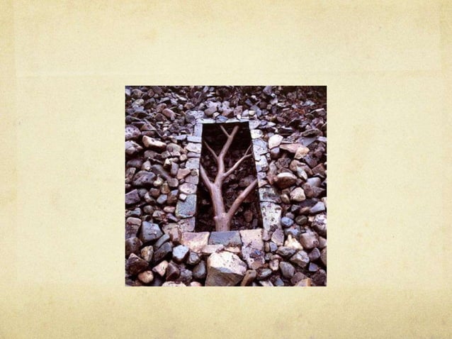 Andy goldsworthy | PPTX