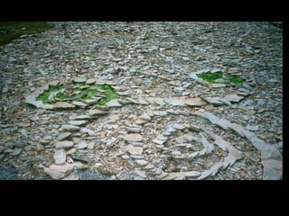 Andy Goldsworthy | PPTX