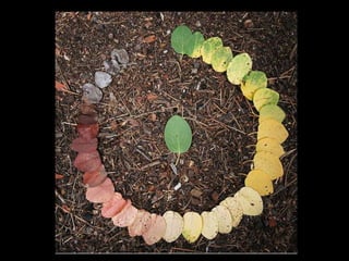 Andy Goldsworthy | PPTX