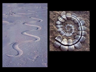 Andy Goldsworthy | PPTX