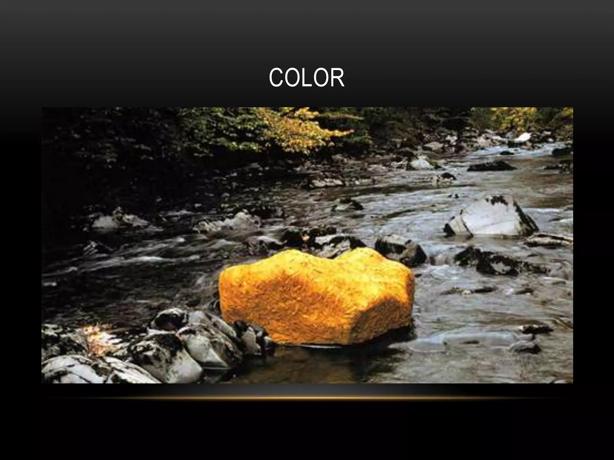 Andy goldsworthy | PPTX