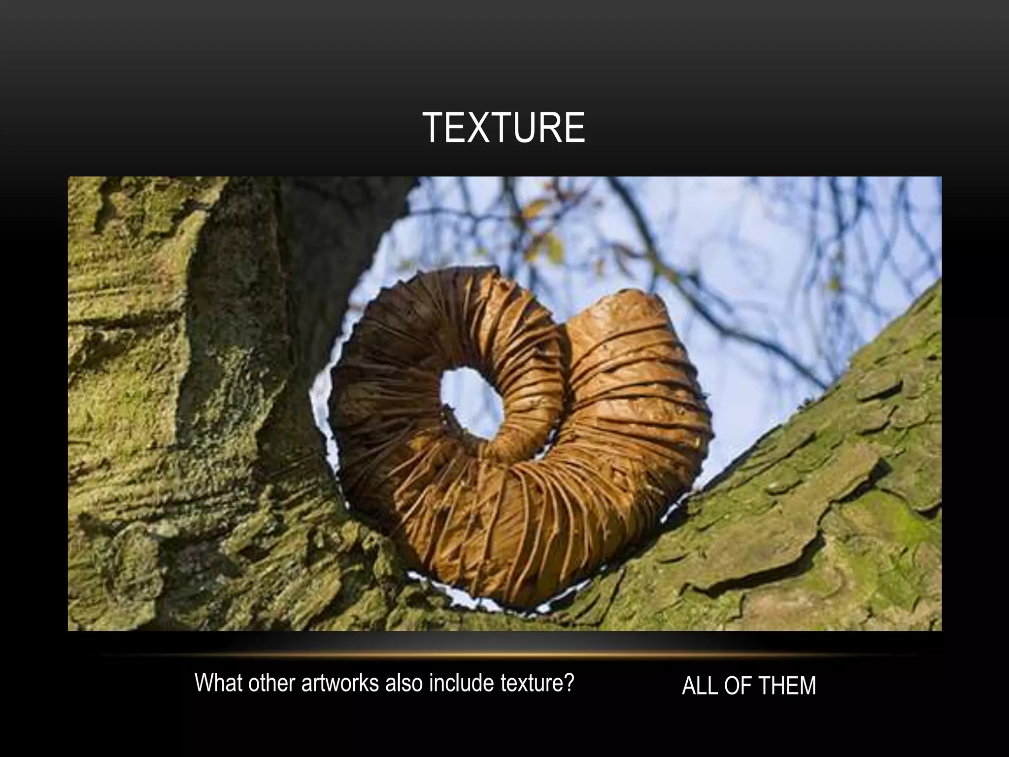 Andy goldsworthy | PPTX