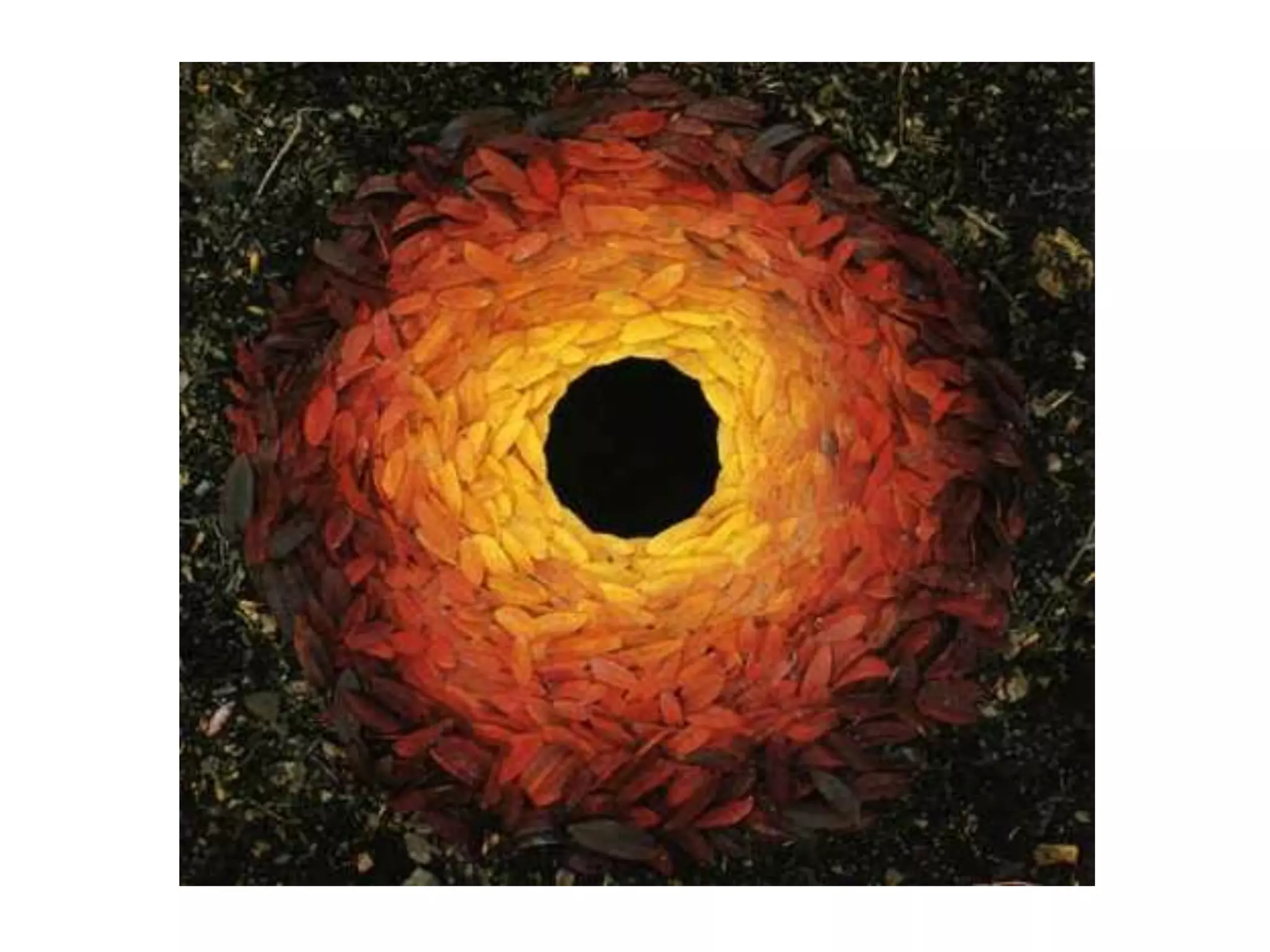 The Art of Andy Goldsworthy | PPTX