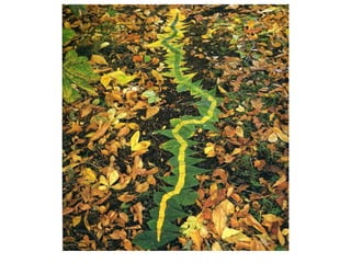 The Art of Andy Goldsworthy | PPTX