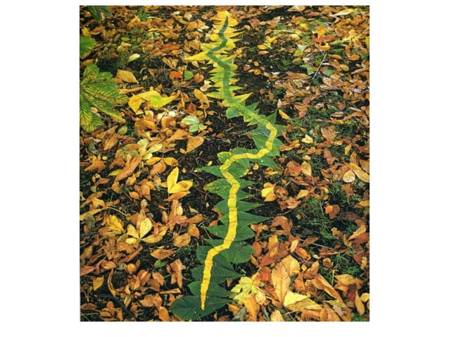 The Art of Andy Goldsworthy | PPTX