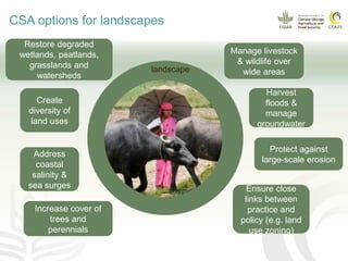 Climate Smart Agriculture: State of research and development | PPTX