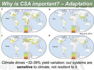 Climate Smart Agriculture: State of research and development | PPTX ...