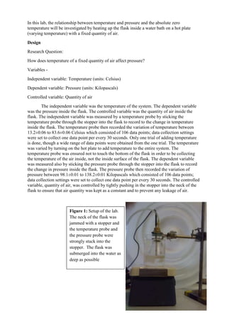 Andy Lee Pressure Temp Lab | DOCX
