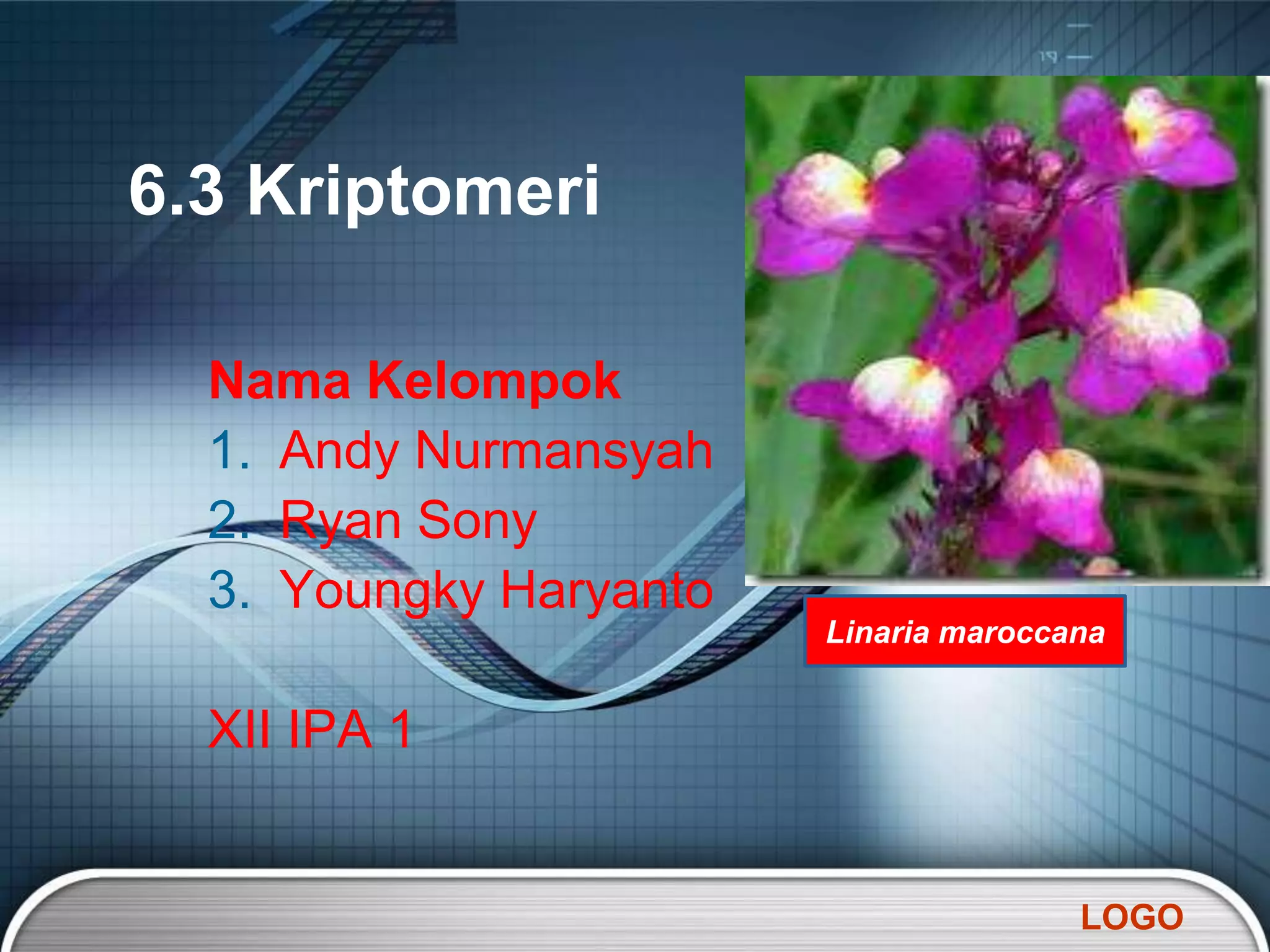 Andy nurmansyah ryan sony-youngky haryanto xii ipa 1 | PPTX