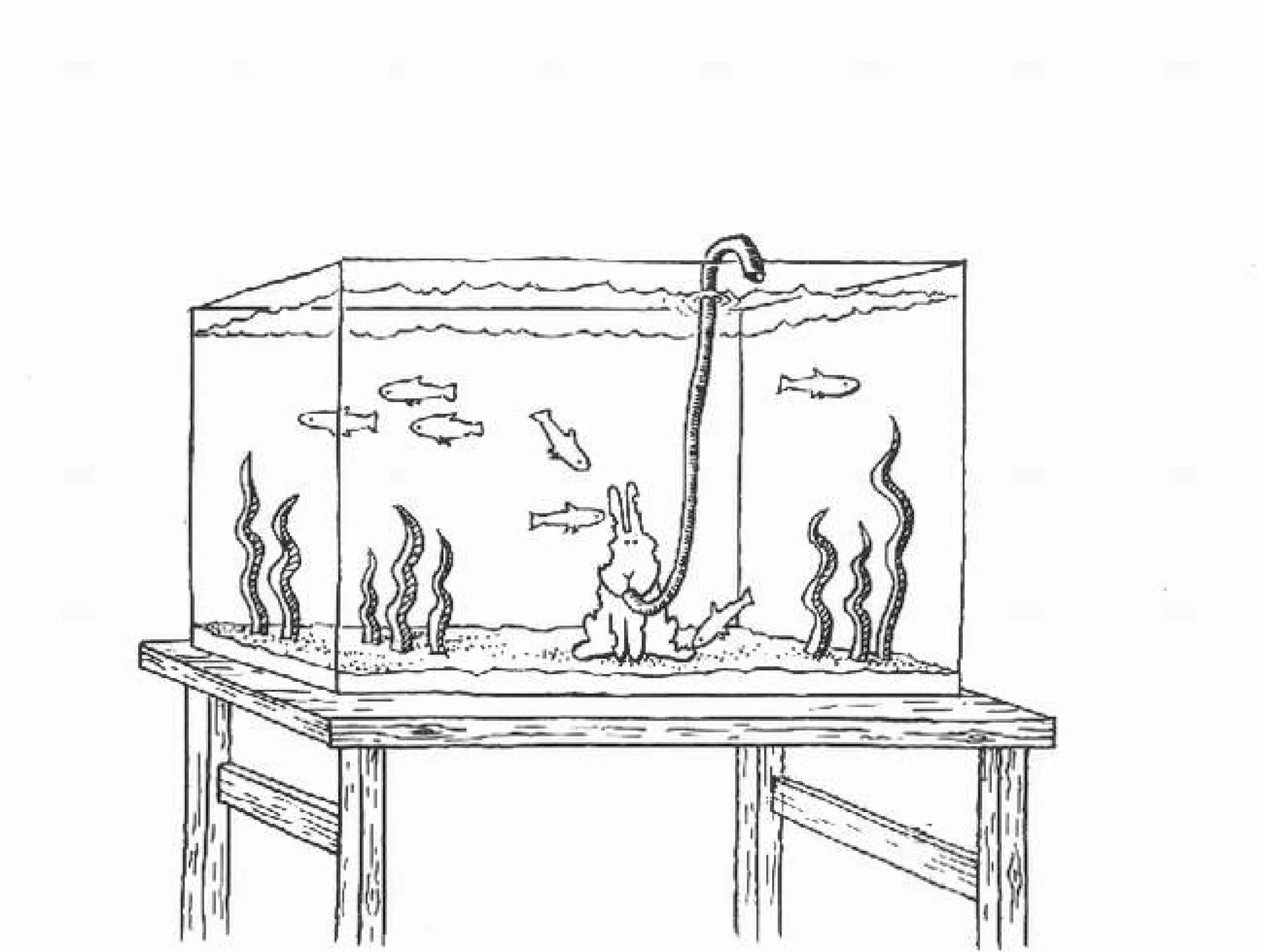 Andy Riley - Return of the Bunny Suicides | PPT