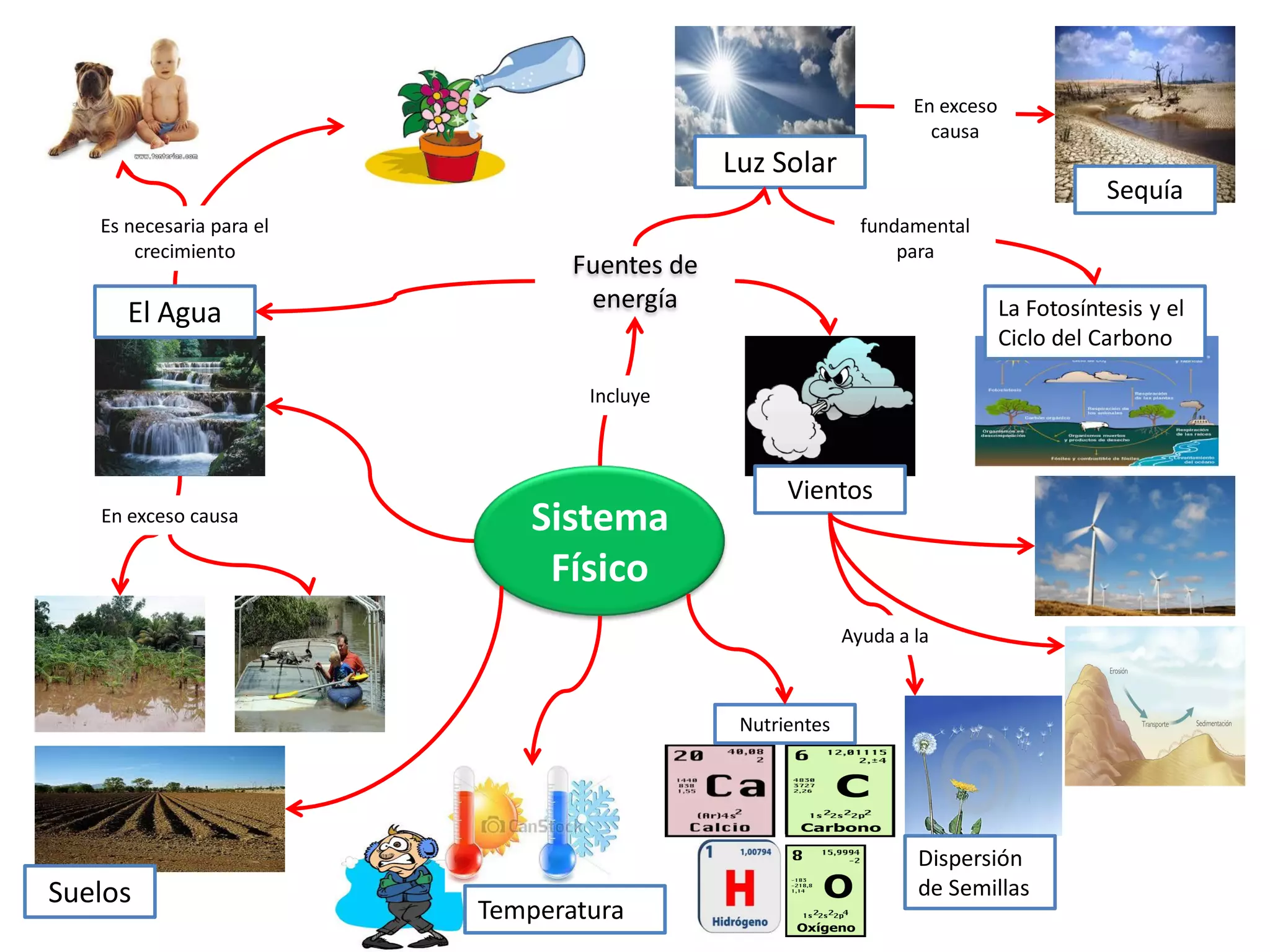 Mapas Mentales de: Sistema Físico, Sistema Biológico, Ecología y ...