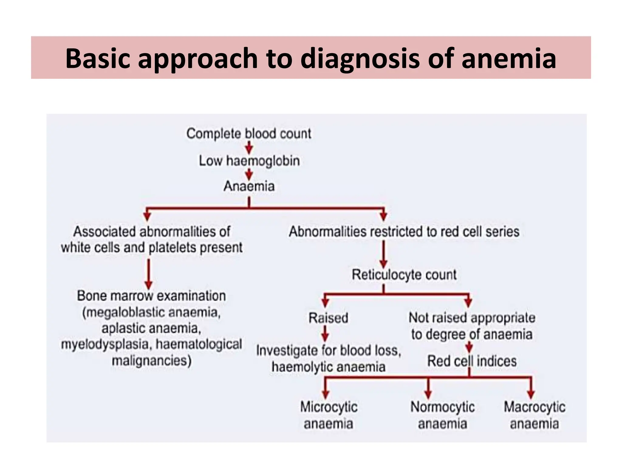 Aneamia diagnosis and classifications Bpharm.pptx