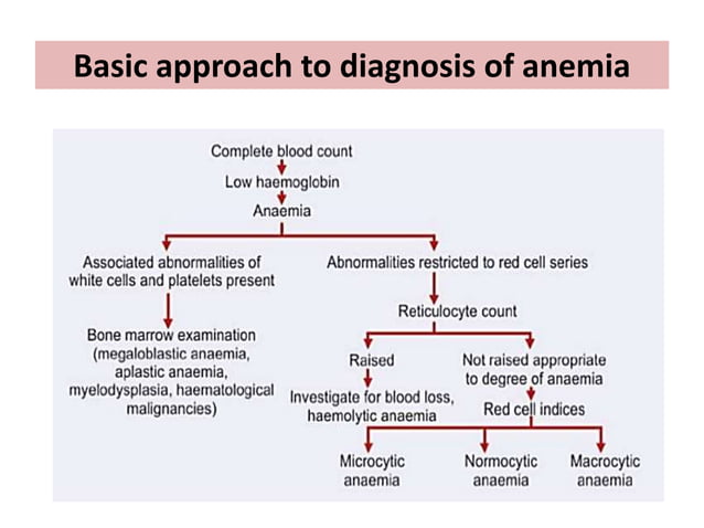 Aneamia diagnosis and classifications Bpharm.pptx
