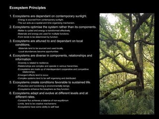 An Ecosystem Based Biomimetic Theory for a Regenerative Built ...