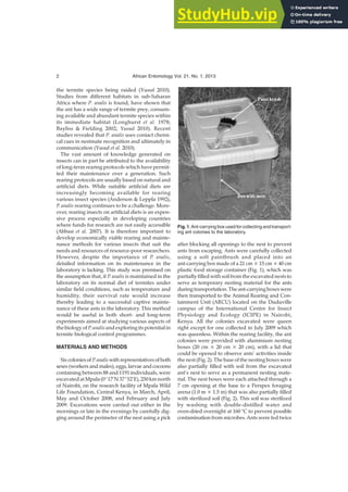 An Effective Method For Maintaining The African Termite-Raiding Ant ...