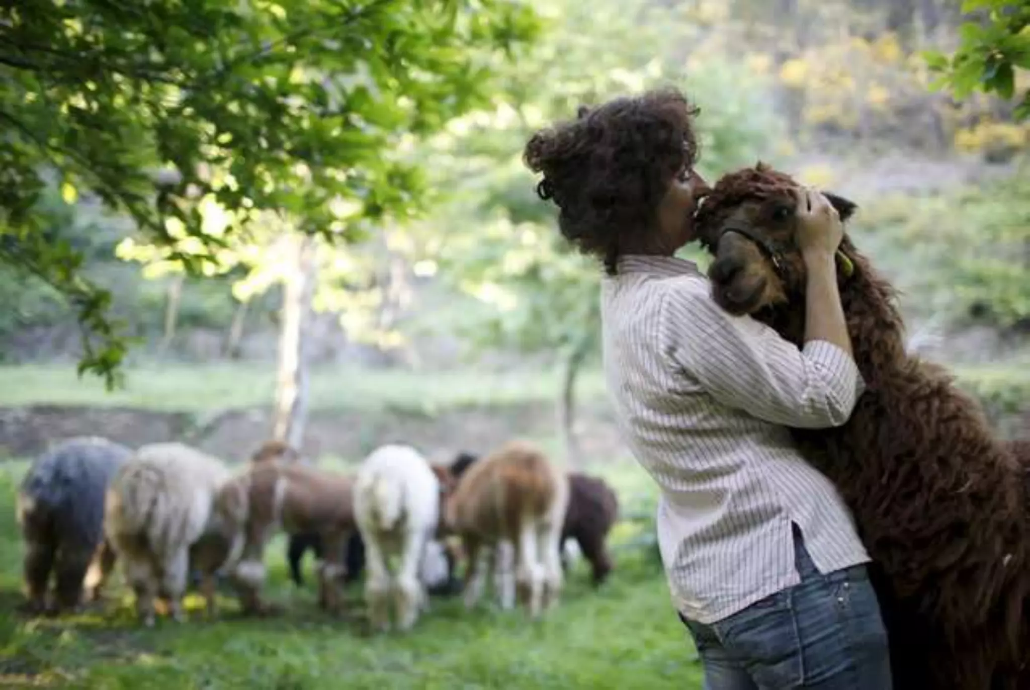Aneka foto animal hewan terbaik dunia | PPT