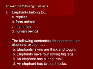 An elephant | PPT