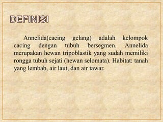 Annelida (cacing gelang) | PPTX