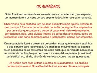 Anelideos | PPT