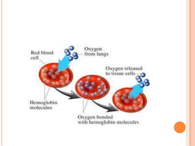 Anemia 130809044630-phpapp01