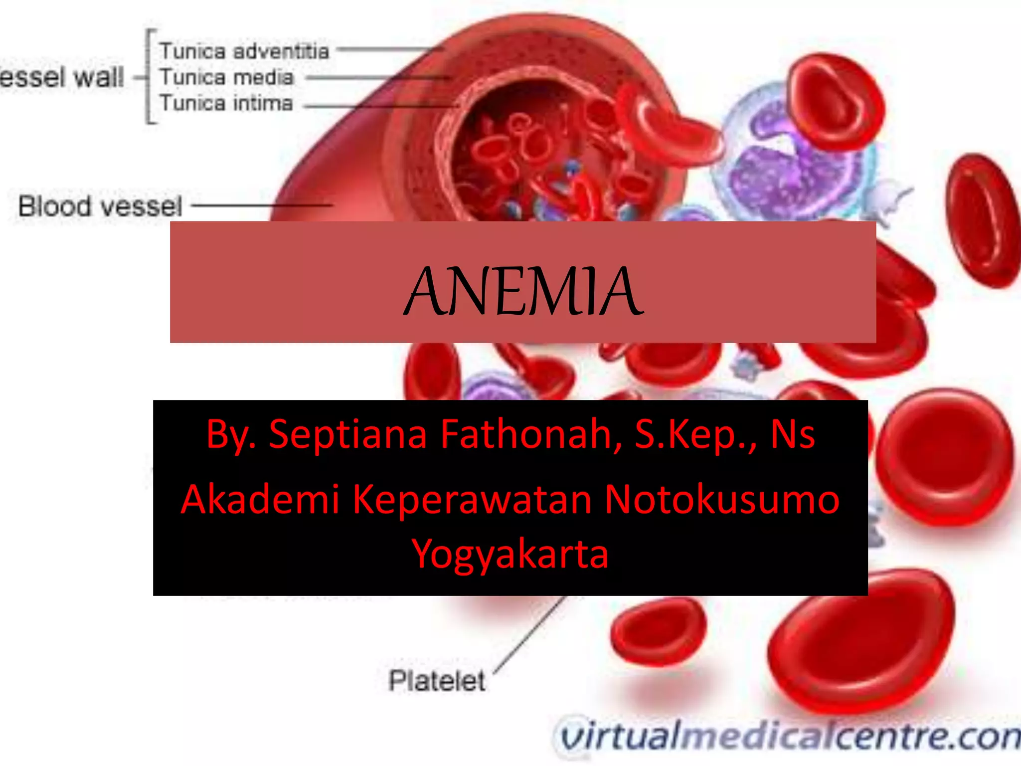 Anemia 130919190246-phpapp02 | PPTX