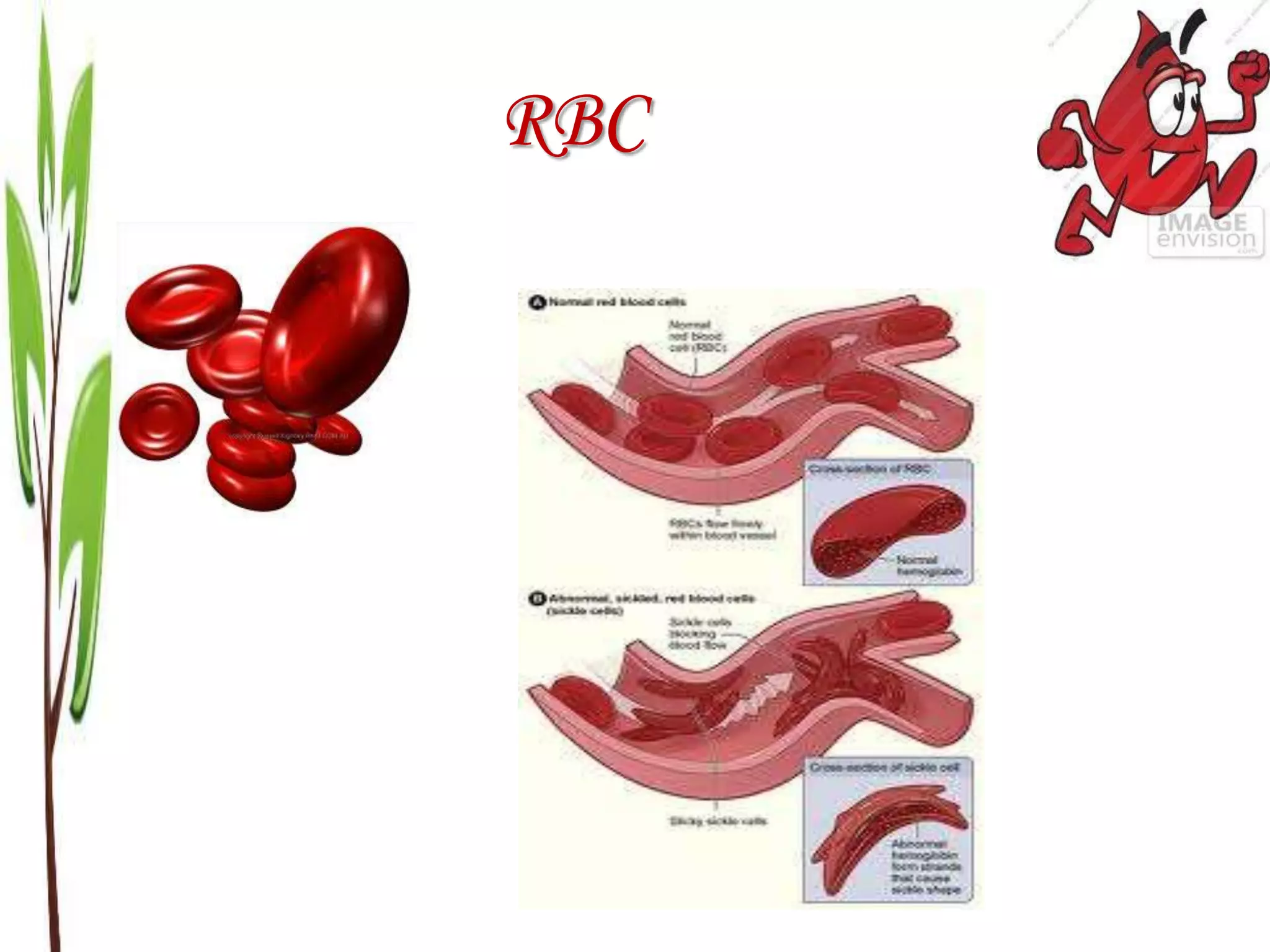 Anemia ppt | PPTX