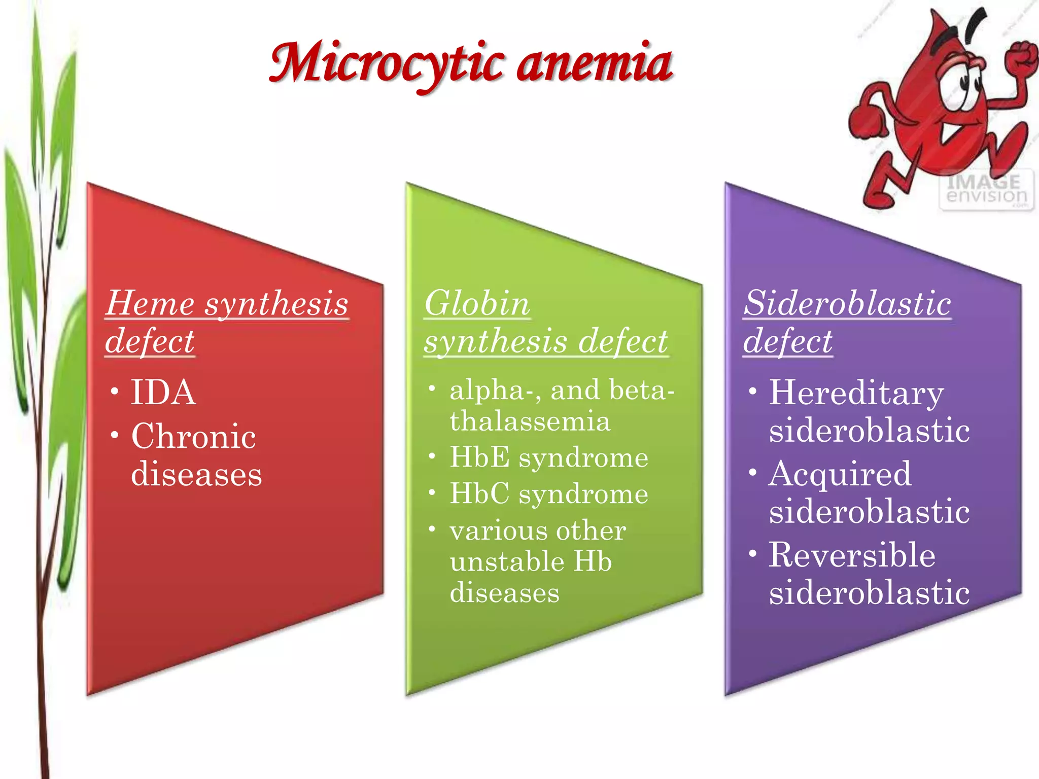 Anemia ppt | PPTX | Blood Disorders | Diseases and Conditions