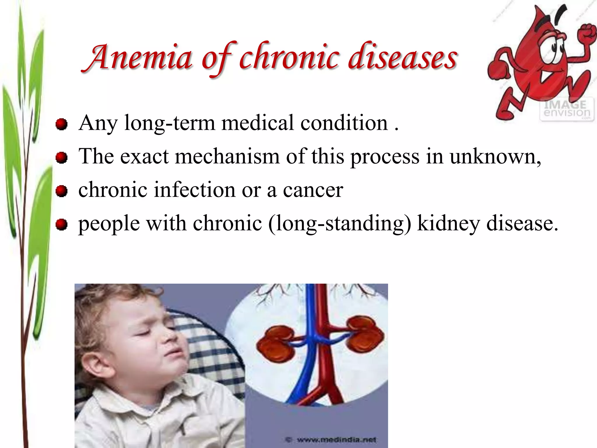 Anemia ppt | PPTX | Blood Disorders | Diseases and Conditions