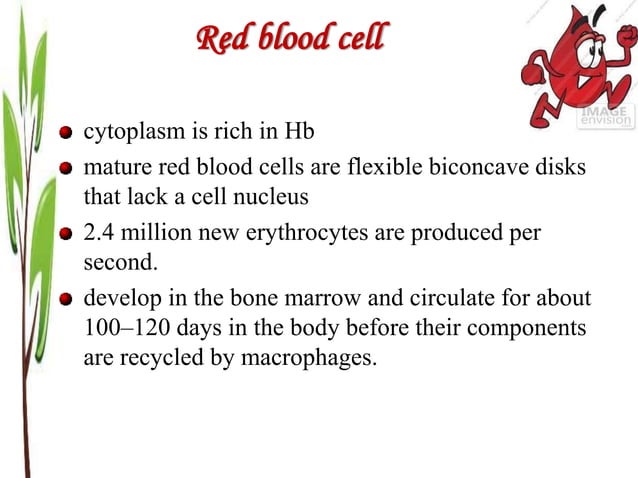 Anemia ppt | PPTX | Blood Disorders | Diseases and Conditions
