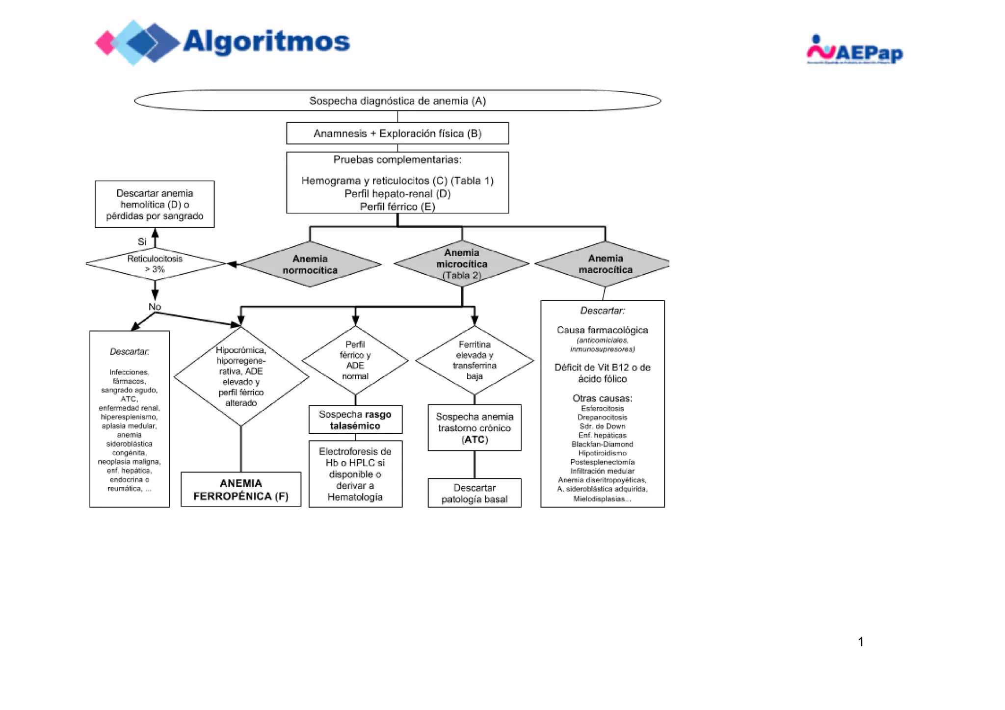 Algoritmo AEPap Anemias | PDF