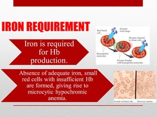 Anemia and drug use for the treatment of Anemia | PPT