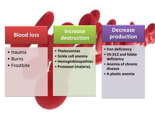 Anemia | PPT