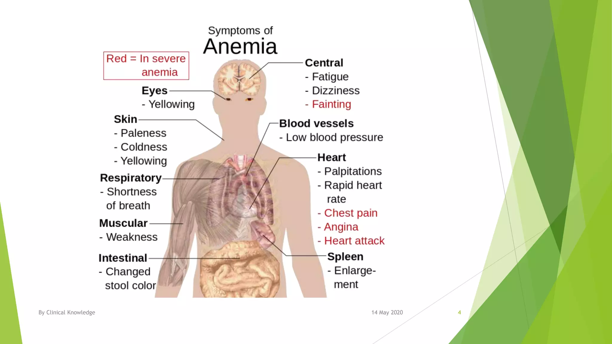 Anemia | PPTX | Blood Disorders | Diseases and Conditions