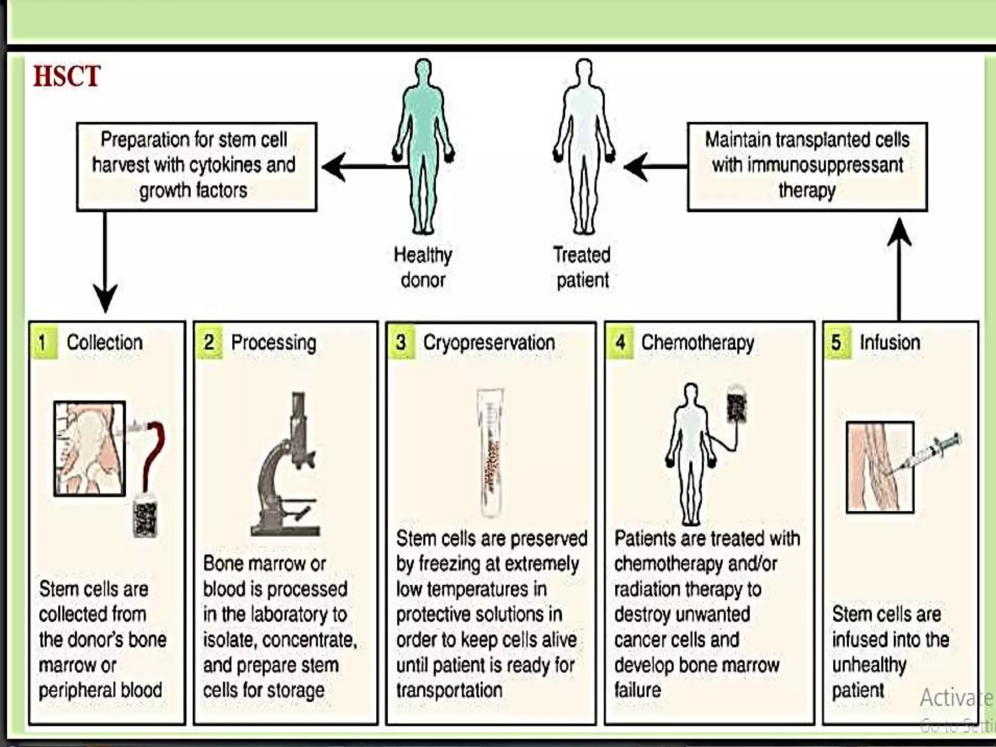 ANEMIA IN PEDIATRICS: IRON DEFICIENCY ANEMIA, MEGALOBLASTIC ANEMIA ...