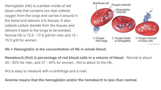 Anemia | PPTX