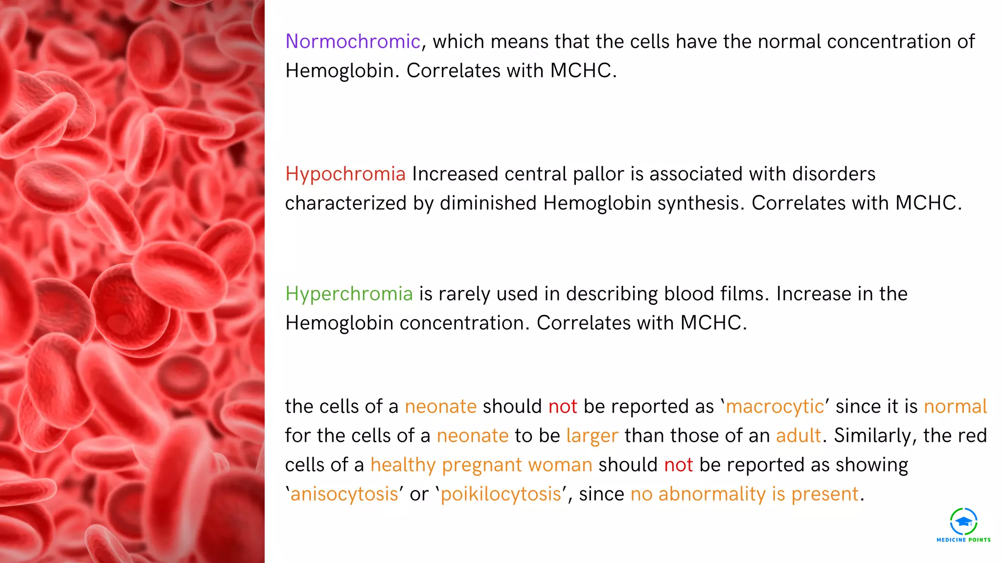 Overview of Anemia | PDF | Blood Disorders | Diseases and Conditions