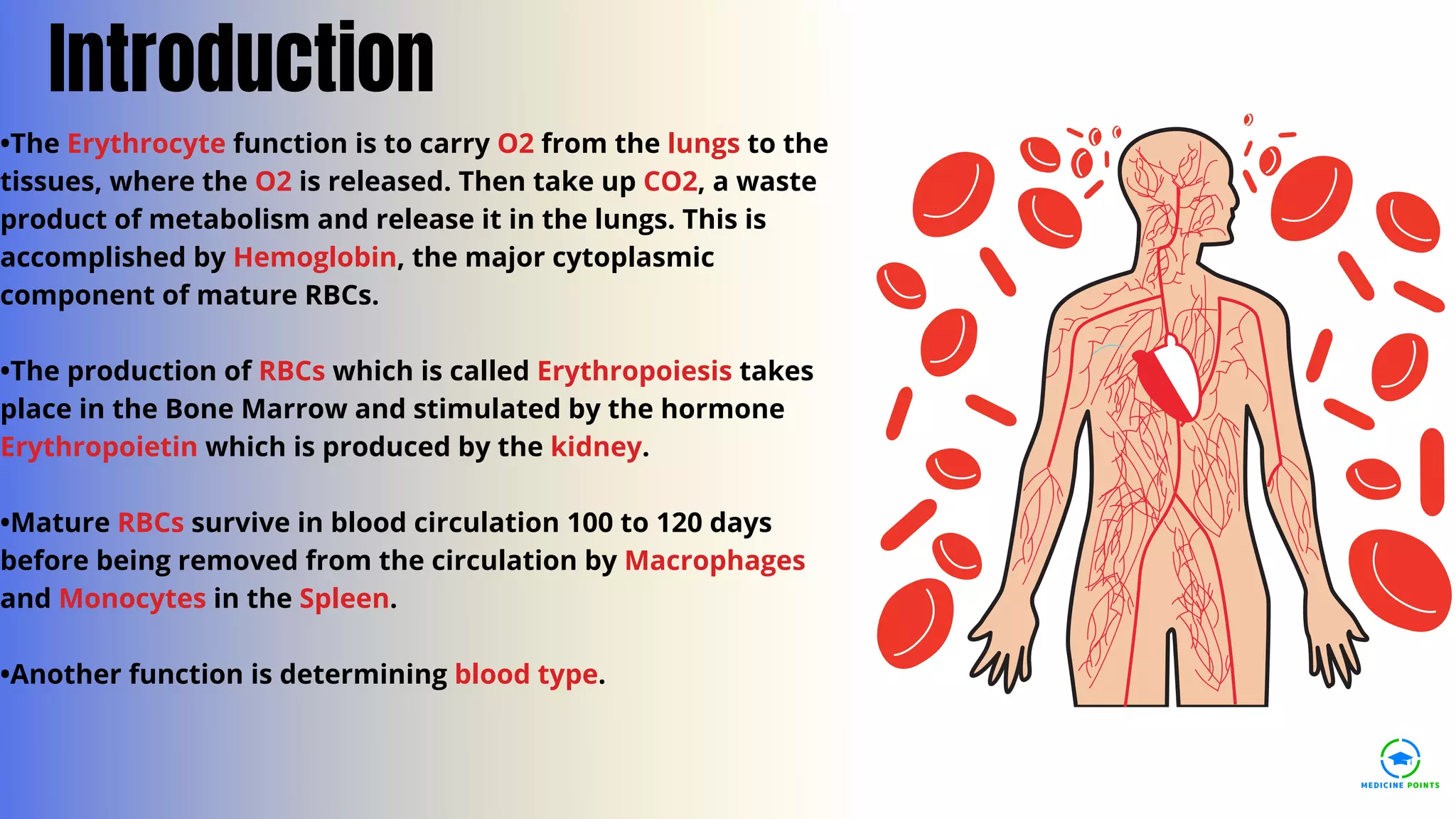 Overview of Anemia | PPT