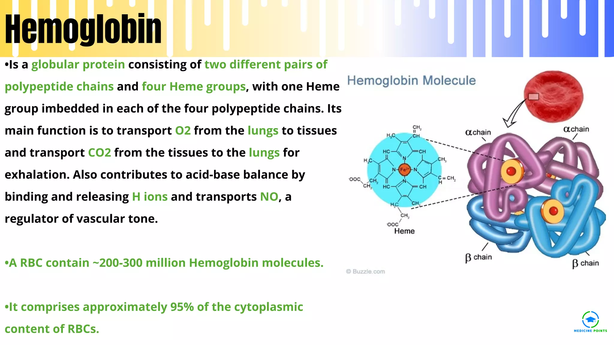 Overview of Anemia | PPT