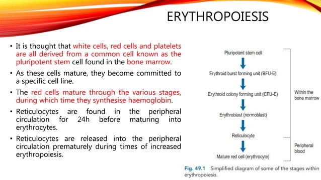 Anemia - Types, Pathophysiology, Clinical Manifestations, Etiology ...