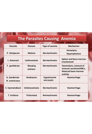 Anemia in Microbiology | PPTX