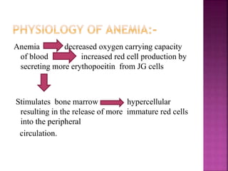 AnemiA.pptx | Blood Disorders | Diseases and Conditions