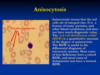 Anemia.pptx