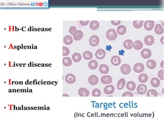 Anemia.pptx