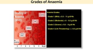 anemia.pptx