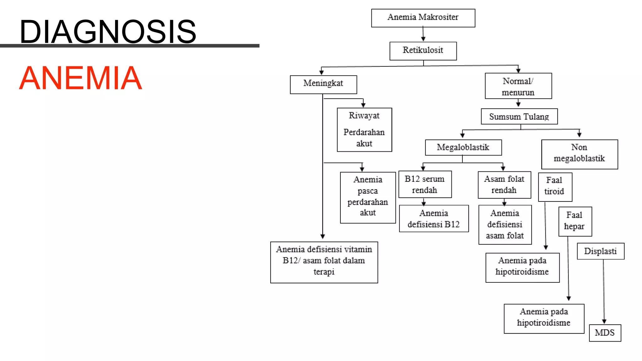 anemia.pptx