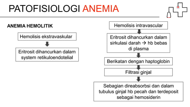 anemia.pptx