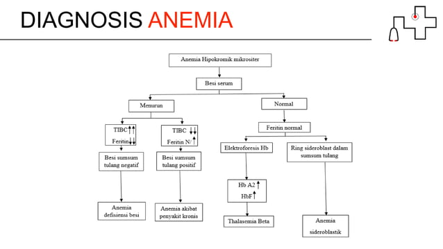 anemia.pptx