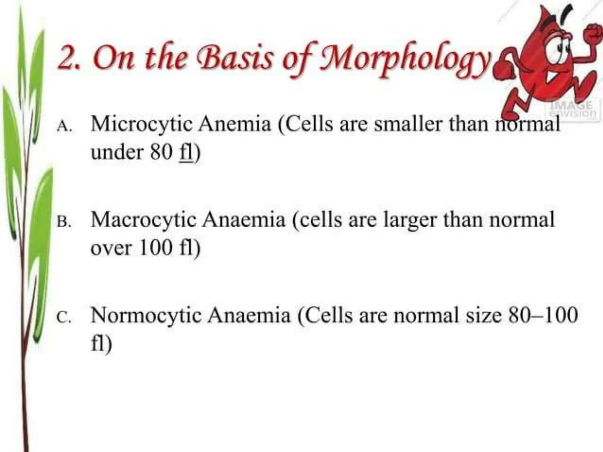 ANEMIA.pptx anemia notes for nursing students | PPTX