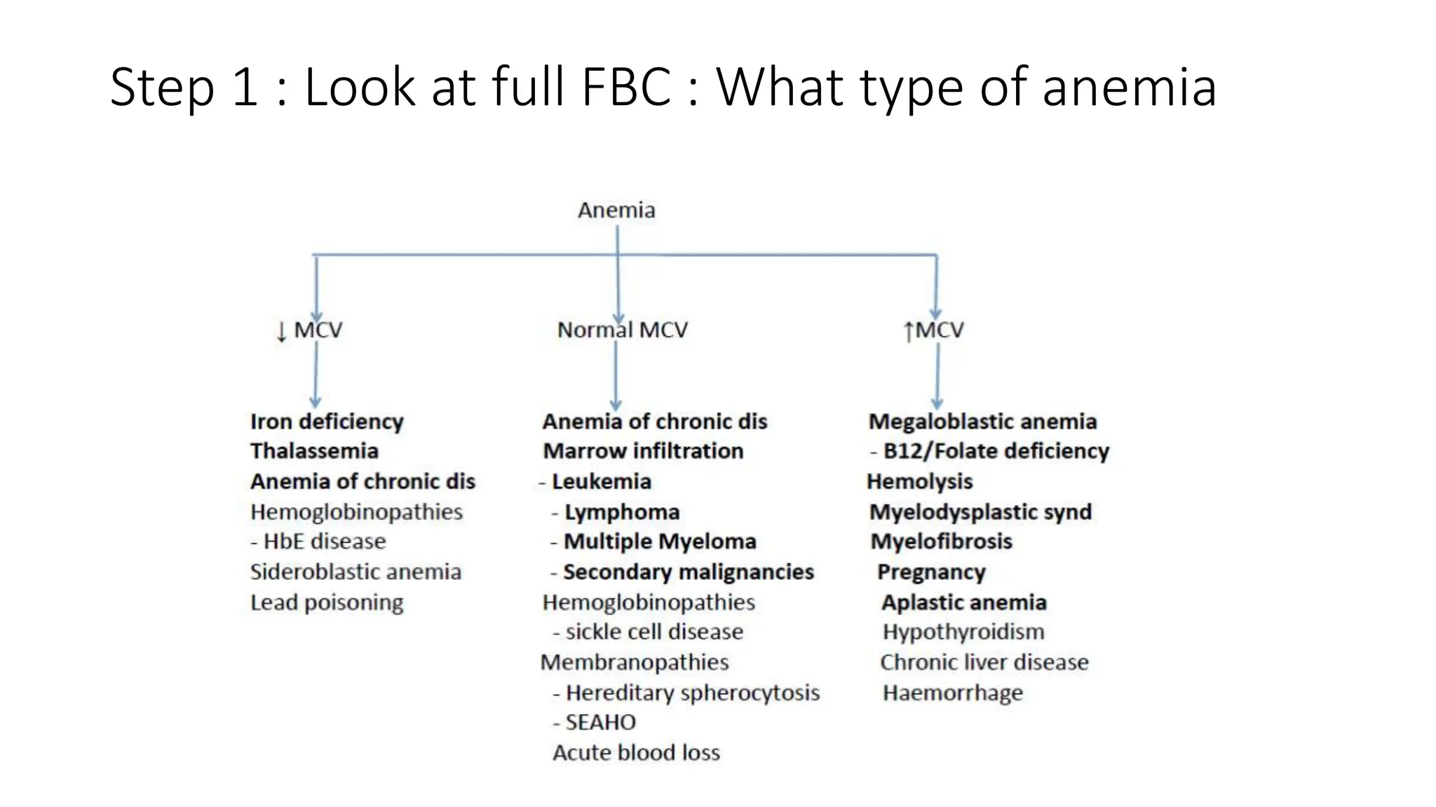 anemia approach definition investigation | PPT