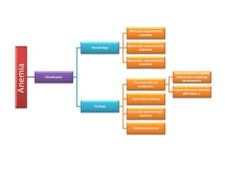 Anemia, Types of anemia in Physiology of Human | PPT